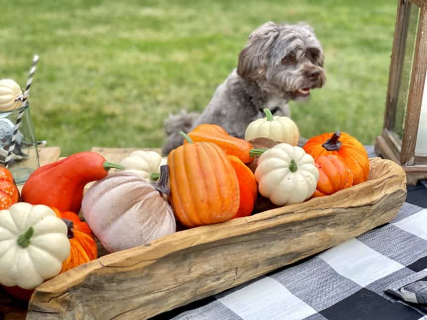 5 Reasons to Try This Fall Buffalo Checkered Tablescape - Craft and Sparkle